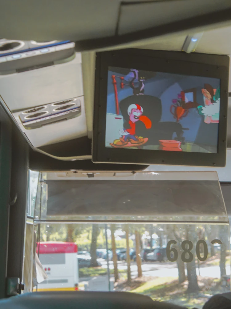 初めてでも安心！ フロリダ ウォルト・ディズニー・ワールド・リゾートの基本情報&直営ホテルをご紹介｜tabimuse